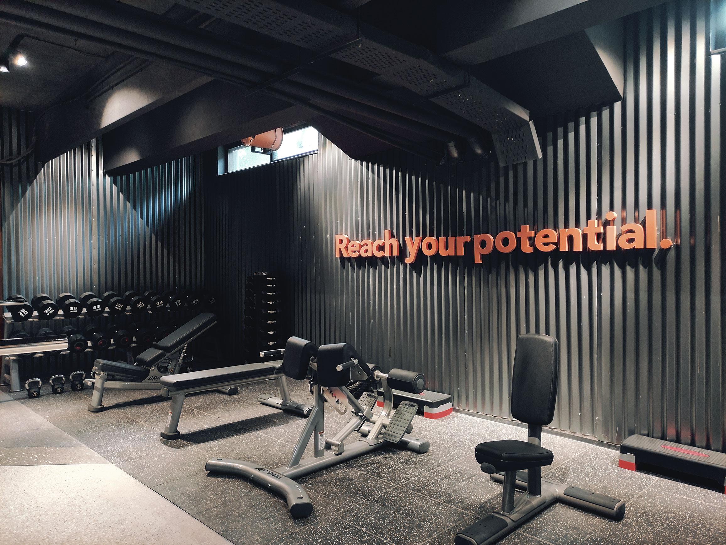 Main Home - Vibe Gym