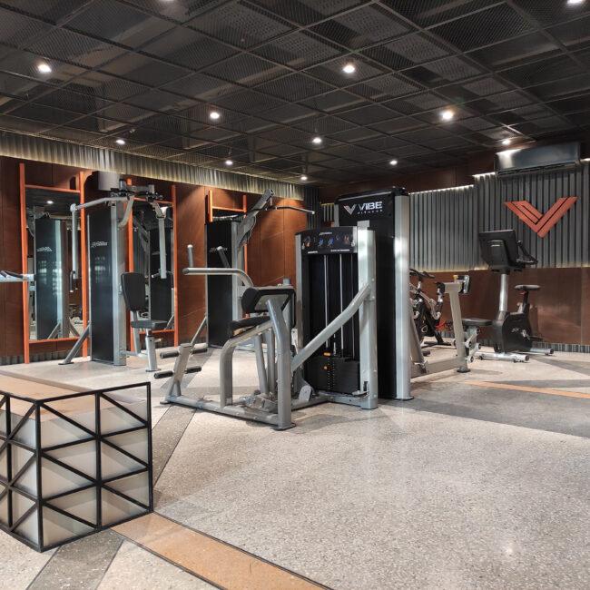 Main Home - Vibe Gym